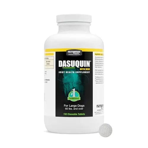 Best Supplements For Dogs Joints - 2026 Reviews - Enchanting Pets
