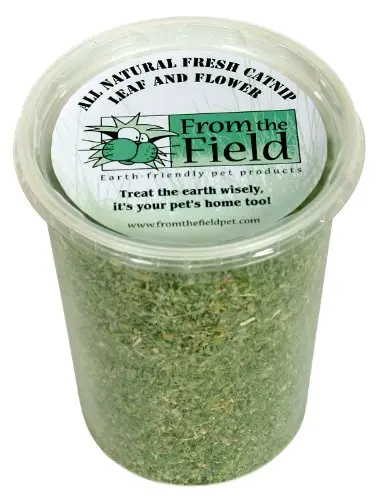 Best Catnip For Cats - 2026 Reviews - Enchanting Pets
