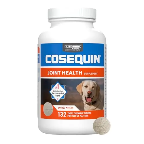 Best Joint Supplement For Dogs With Arthritis - 2026 Reviews ...