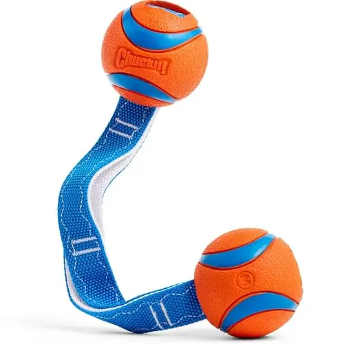 Best Fetch Toys For Dogs - 2026 Reviews - Enchanting Pets