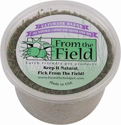 Best Catnip For Cats - 2026 Reviews - Enchanting Pets