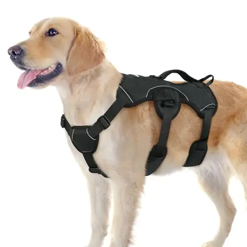 Best Overall Dog Harness For Comfort - 2026 Reviews - Enchanting Pets
