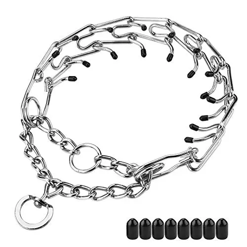 Best Pinch Collar For Dogs - 2026 Reviews - Enchanting Pets