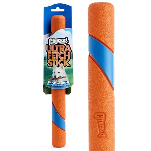 Best Fetch Toys For Dogs - 2026 Reviews - Enchanting Pets