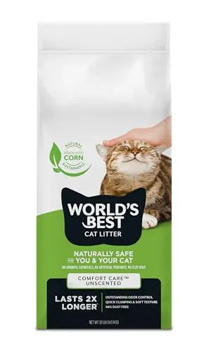 Best Types Of Litter For Cats - 2026 Reviews - Enchanting Pets