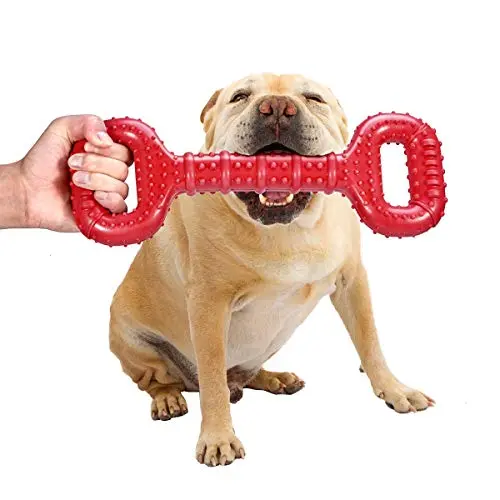 Best Dog Toys For Dobermans - 2026 Reviews - Enchanting Pets