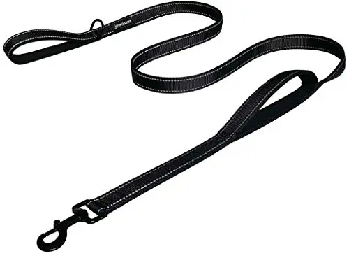 Best Leashes For Dogs - 2026 Reviews - Enchanting Pets