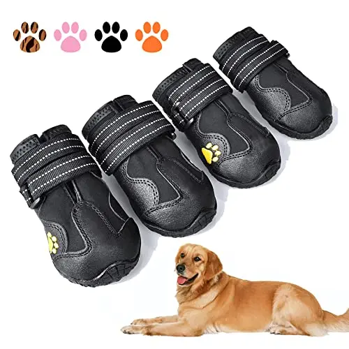 Best Dog Boots For Traction - 2026 Reviews - Enchanting Pets