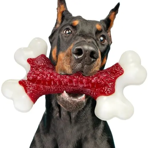 Best Dog Chew Toys For Large Dogs - 2026 Reviews - Enchanting Pets