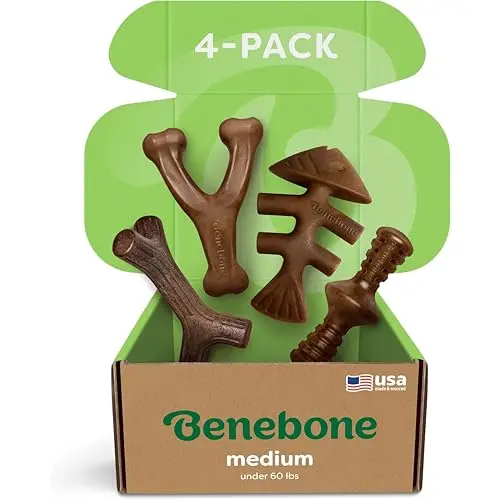 Best Dog Toys For Aggressive Chewers - 2026 Reviews - Enchanting Pets