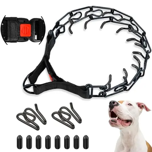 Best Dog Collars And Leashes For Training - 2026 Reviews - Enchanting Pets