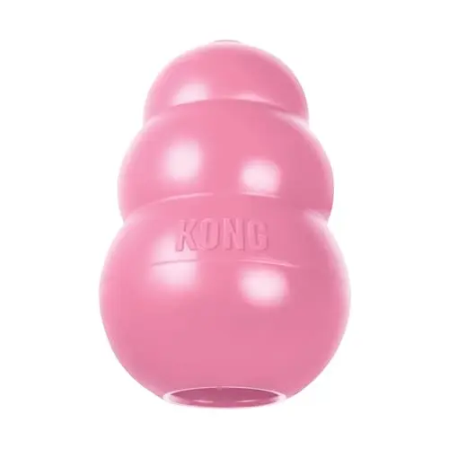 Best Teething Toys For Dogs - 2026 Reviews - Enchanting Pets