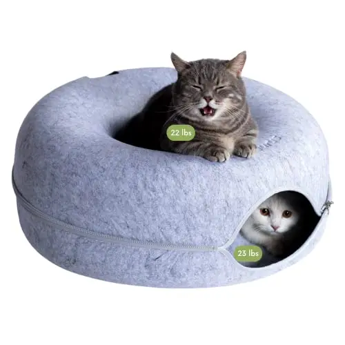 Best Cat Beds For Large Cats - 2026 Reviews - Enchanting Pets