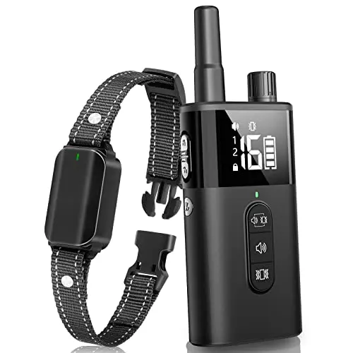 Best Vibration Collar For Dogs - 2026 Reviews - Enchanting Pets