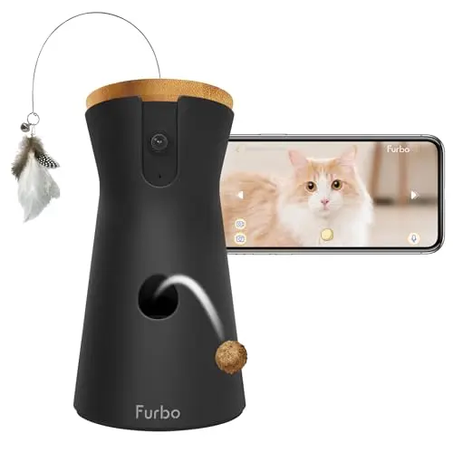 Best Pet Camera For Cats - 2026 Reviews - Enchanting Pets