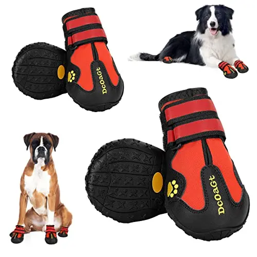 Best Dog Boots For Traction - 2026 Reviews - Enchanting Pets