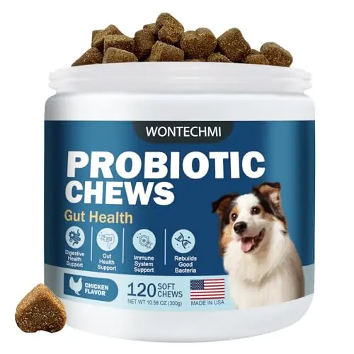 Best Probiotics For Dogs On Antibiotics - 2026 Reviews - Enchanting Pets