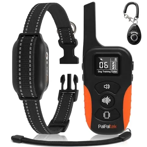 Best Vibration Collar For Dogs - 2026 Reviews - Enchanting Pets