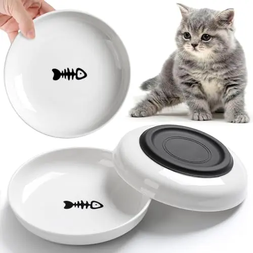 Best Bowls For Cats - 2026 Reviews - Enchanting Pets