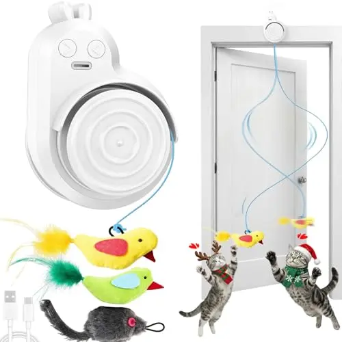 Best Cat Toys For Exercise - 2026 Reviews - Enchanting Pets