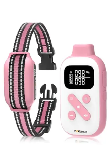 Best Vibration Collar For Dogs - 2026 Reviews - Enchanting Pets