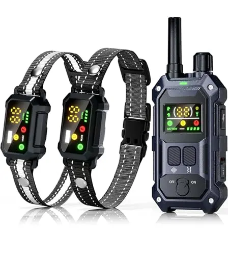 Best Training Collar For Dogs - 2026 Reviews - Enchanting Pets