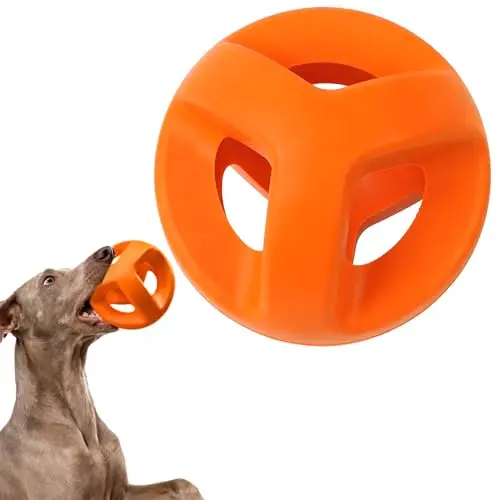 Best Outdoor Toys For Dogs - 2026 Reviews - Enchanting Pets