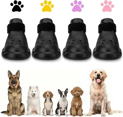 Best Dog Boots For Traction - 2026 Reviews - Enchanting Pets